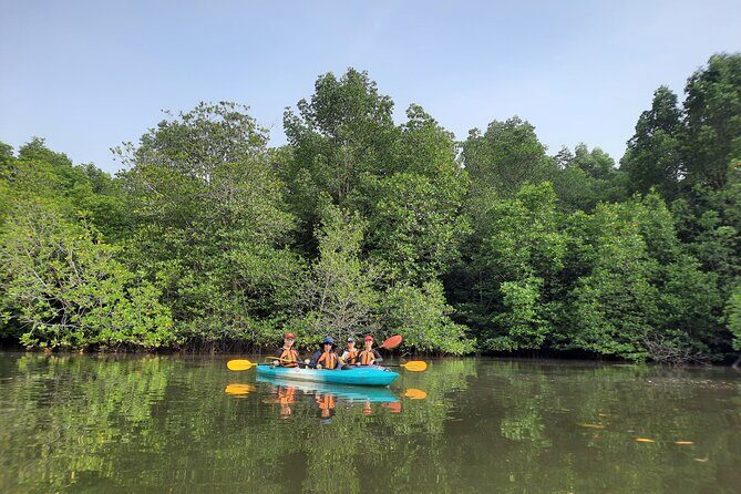 River Exploration and Mangrove Nature Tour by kayaking - The Itinerary: Whats in Store