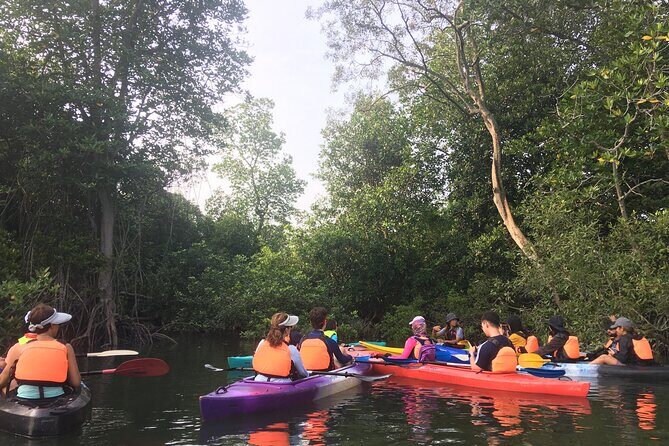 River Exploration and Mangrove Nature Tour by kayaking - Practical Details and What to Expect
