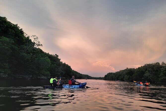 River Exploration and Mangrove Nature Tour by kayaking - What Reviewers Love Most