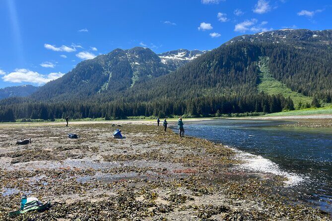 River Fishing and Bear Watching - Is It Good Value?