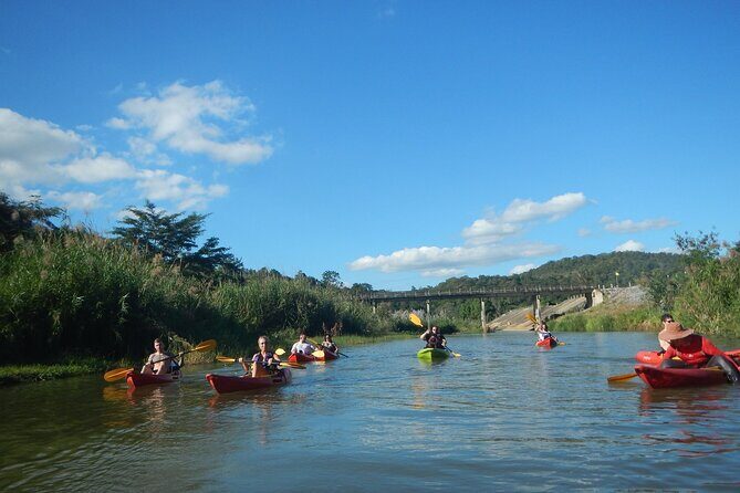 River Kayaking in Chiang Dao Jungle From Chiang Mai - Practical Considerations: Timing, Group Size, and Age