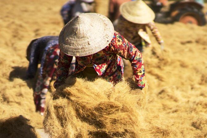 River Life In Mekong Delta Tour 3 Days - Final Thoughts: Who Should Consider This Tour?