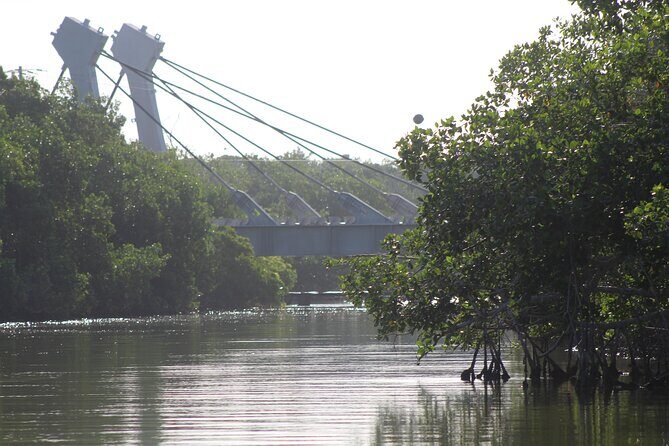 River Lizards Boat Tour for Flora and Fauna Observation - Exploring Rio Lagartos’s Ecological Treasure: A Deep Dive