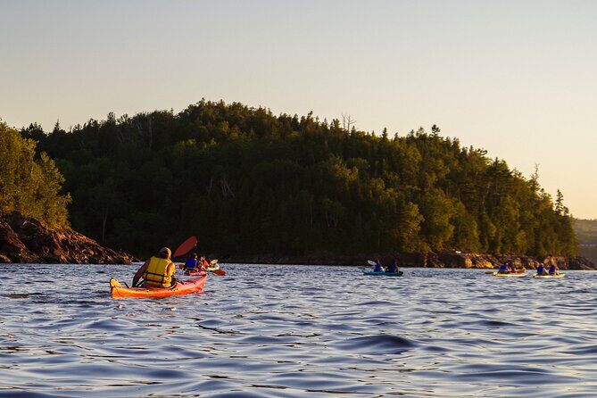 River Relics Kayaking Adventure - Who Will Love This Tour?