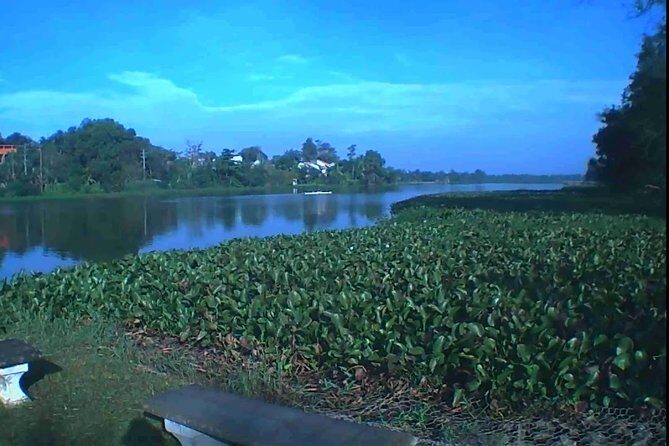 River Safari from Bolgoda Lake - A Close Look at the Bolgoda Lake River Safari