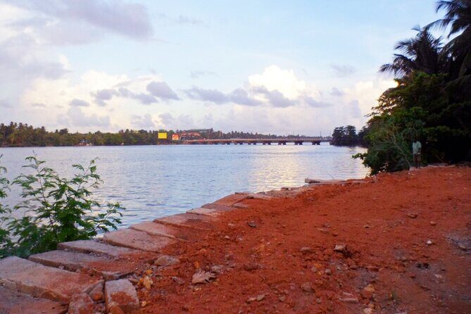 River Safari from Bolgoda Lake - The Sum Up