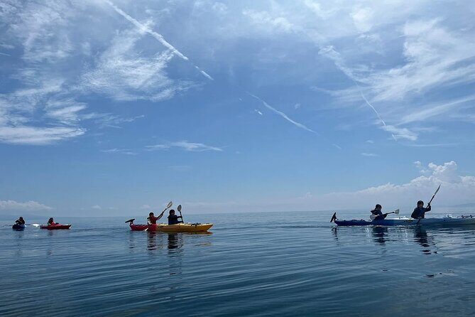River to Sea Mutsu Bay Kayak Experience - Key Points