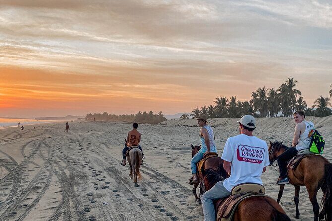 River Trail Horseback Riding Adventure - What We Learned From Reviews