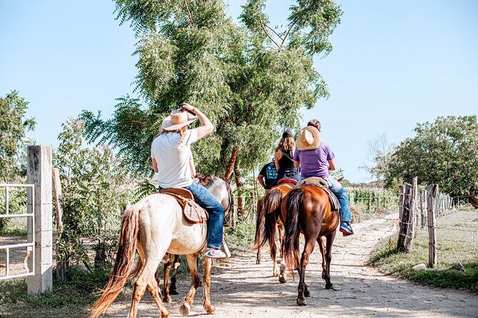 River Trail Horseback Riding Adventure - Final Thoughts
