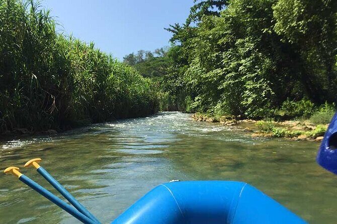 River Tubing Adventure on the Rio Bueno & Bamboo Beach Club Private Tour - A Detailed Look at the Tour Experience