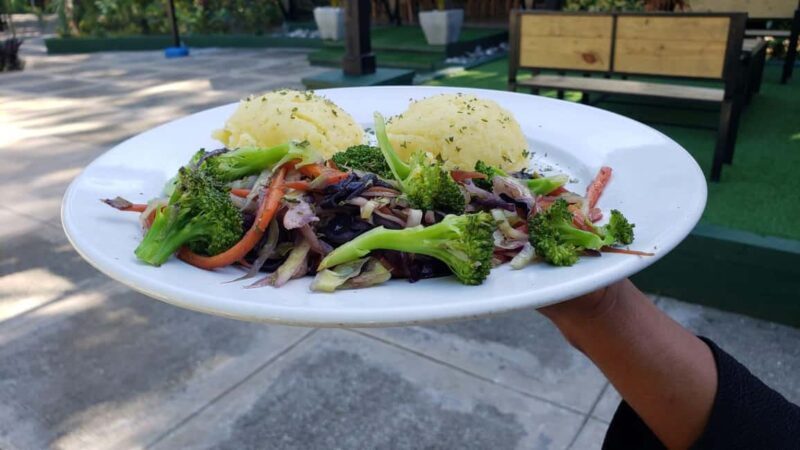 River Tubing and Dunn's River Falls - Who Will Love This Tour?