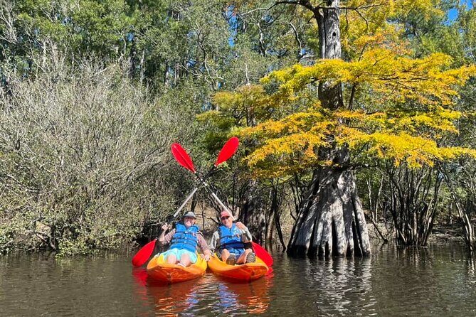 River Tubing & Kayaking - The Sum Up: An Easy, Scenic, and Fun River Outing