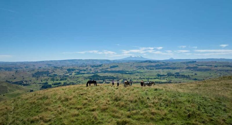 River Valley Lodge: High Country Enchantment Horse Trek - River Valley Lodge: High Country Enchantment Horse Trek — A Natural Ride through New Zealand’s Hill Country
