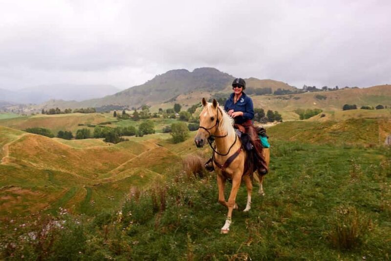 River Valley Lodge: High Country Enchantment Horse Trek - Key Points
