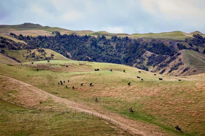 River Valley Lodge: High Country Enchantment Horse Trek - Why This Tour Works