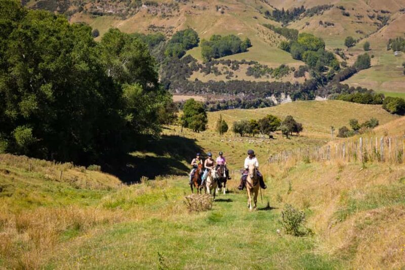 River Valley Lodge: High Country Enchantment Horse Trek - The Sum Up
