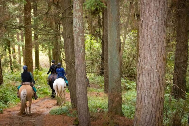 River Valley Lodge: High Country Enchantment Horse Trek - FAQ