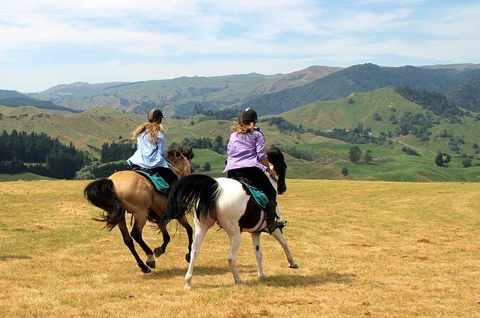 River Valley Stables - Burn The Breeze, Half Day Horse Ride For Riders - The Real Value — Is It Worth It?