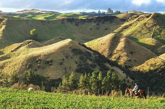 River Valley Stables - Burn The Breeze, Half Day Horse Ride For Riders - Who Will Enjoy This Tour?