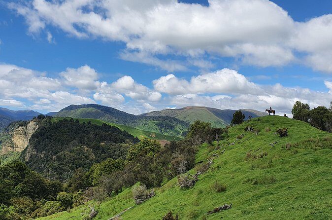 River Valley Stables - Burn The Breeze, Half Day Horse Ride For Riders - The Sum Up