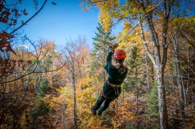 River Ziplines - Nature Tours - A Closer Look at the Experience