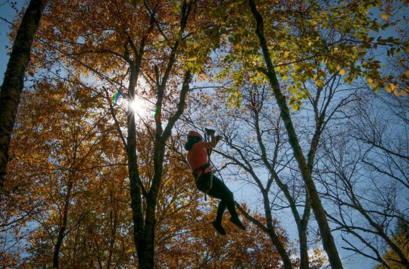 River Ziplines - Nature Tours - Who Will Love It?