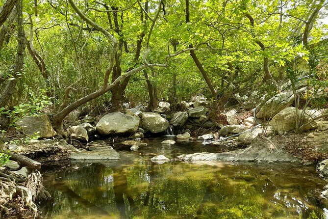 Riverbank Adventure in Naxos (Kinidaros - Eggares) - How the Tour Works — A Step-by-Step Breakdown