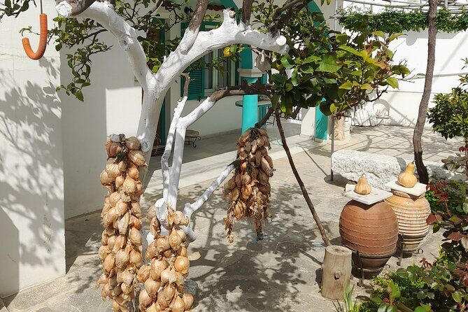 Riverbank Adventure in Naxos (Kinidaros - Eggares) - What Sets This Tour Apart