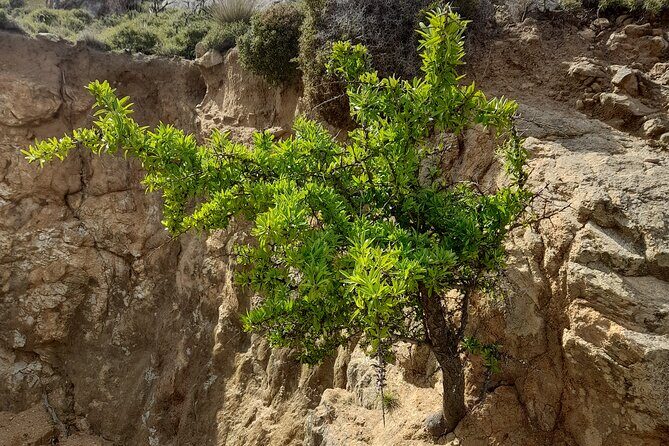 Riverbank Adventure in Naxos (Kinidaros - Eggares) - Who Is This Tour Best For?