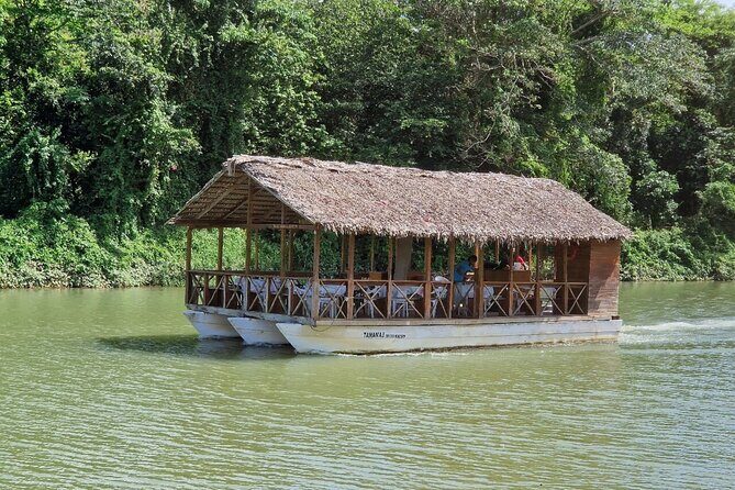 Rivers, Jungle with Buggies Adventure in Bayahibe - Overview of the Experience