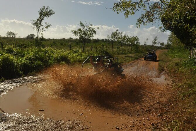 Rivers, Jungle with Buggies Adventure in Bayahibe - What the Reviews Say