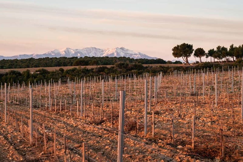 Rivesaltes - Secrets du Terroir and Unique Wine Tasting! - Introduction