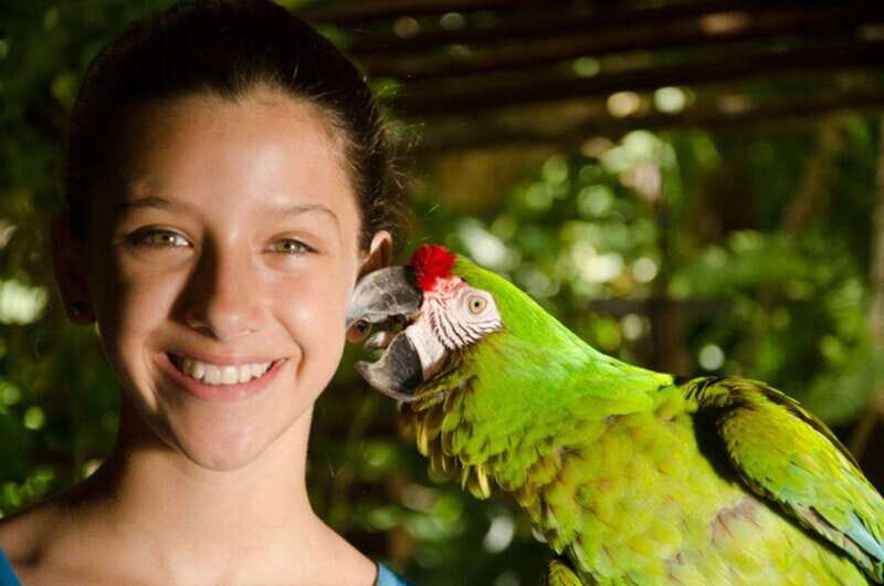 Riviera Maya: Croco Cun Interactive Zoo Tour - What is the Croco Cun Zoo Tour All About?
