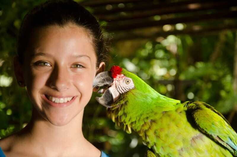 Riviera Maya: Croco Cun Interactive Zoo Tour - The Conservation Message