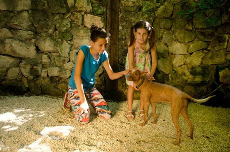 Riviera Maya: Croco Cun Interactive Zoo Tour - Who Should Consider This Tour?