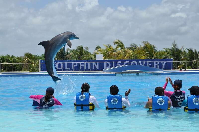 Riviera Maya: Dolphin Encounter with Beach Club Access - Riviera Maya Dolphin Encounter with Beach Club Access: An Authentic Day by the Sea
