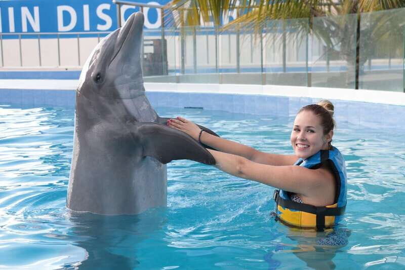Riviera Maya: Dolphin Encounter with Beach Club Access - Evaluating the Experience’s Value