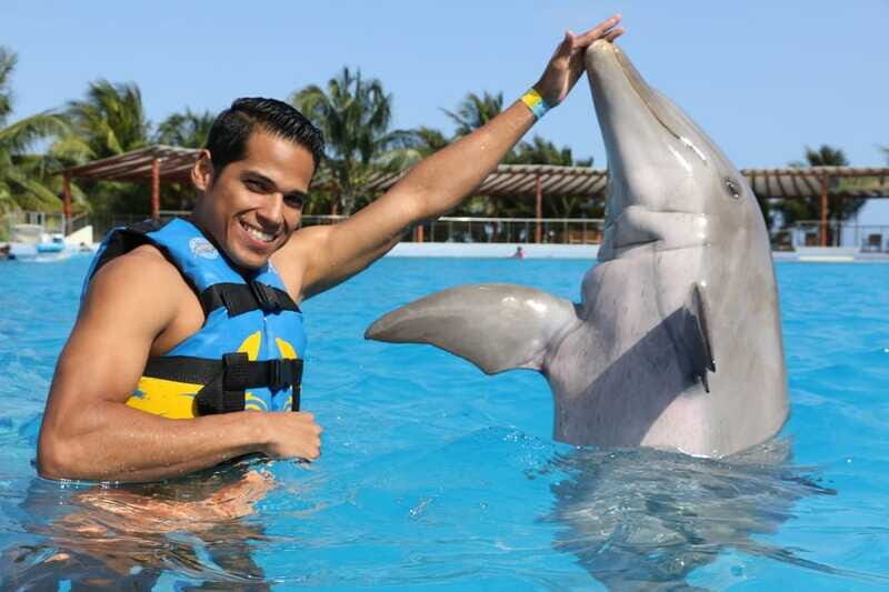 Riviera Maya: Dolphin Encounter with Beach Club Access - The Sum Up: Is It Worth It?
