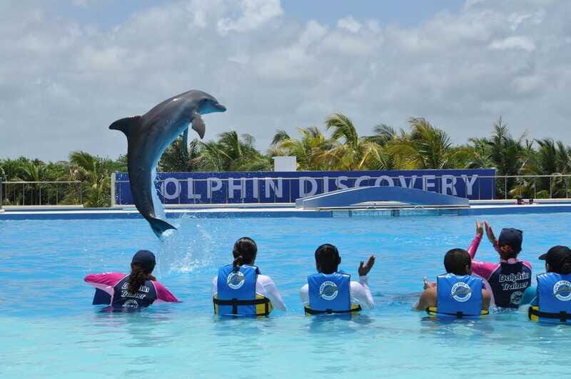 Riviera Maya: Dolphin Encounter with Beach Club Access - FAQ