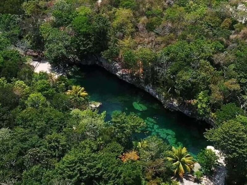 Riviera Maya: Full Day Tour to 5 Magical Cenotes - Key Points