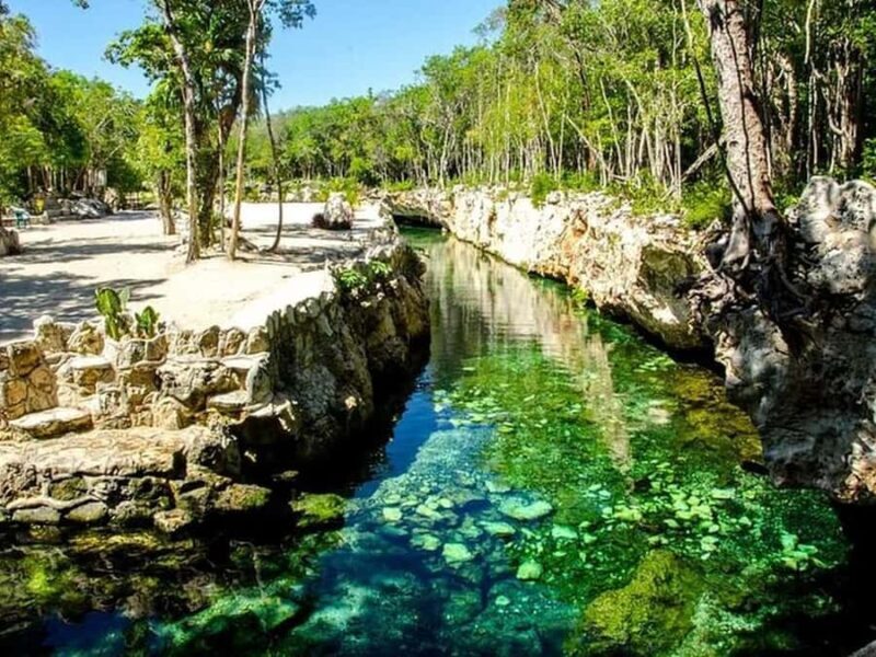 Riviera Maya: Full Day Tour to 5 Magical Cenotes - Pricing and Value
