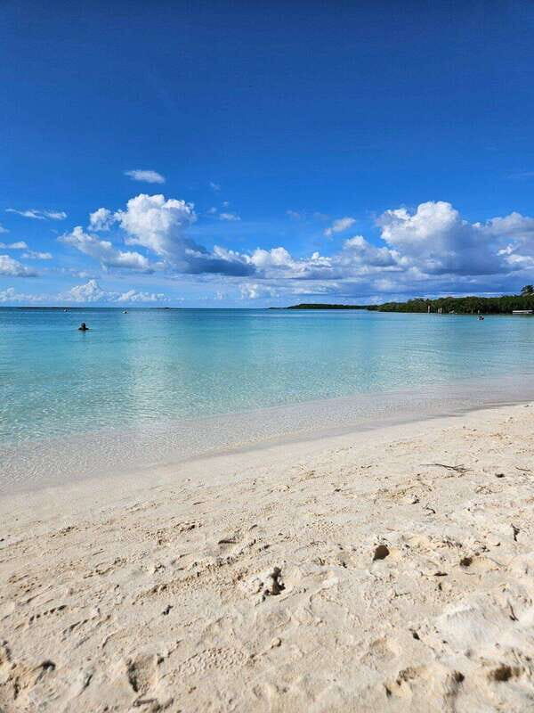 Riviera Maya: Isla Contoy and Isla Mujeres Full-Day Tour - Frequently Asked Questions