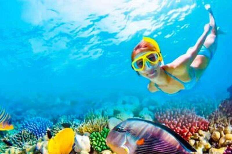 Riviera Maya: Isla Contoy and Isla Mujeres Full-Day Tour - Final Word