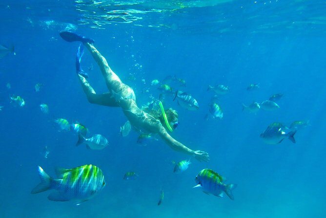 Riviera Maya Luxury Snorkeling Cruise with Lunch and Drinks - FAQs