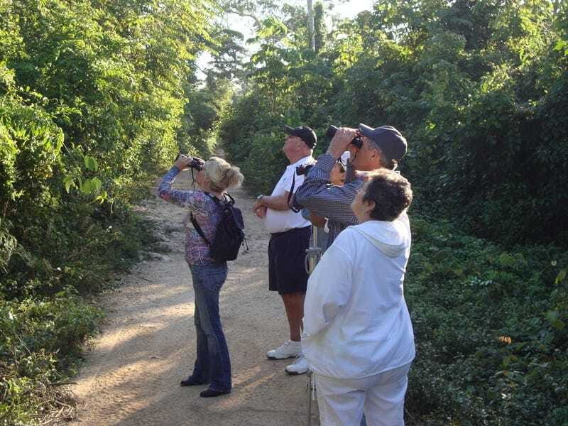 Riviera Maya: Puerto Morelos 4-Hour Bird Watching Tour - Practical Tips for Travelers