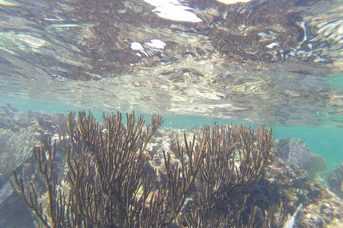 Riviera Maya Snorkeling - Practical Details