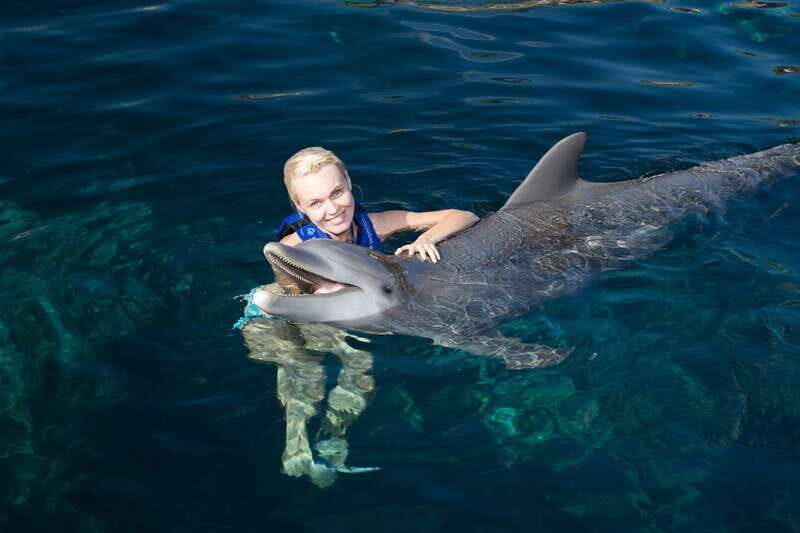 Riviera Maya: Swim with dolphins Interax - What to Expect on Your Dolphin Adventure in Riviera Maya