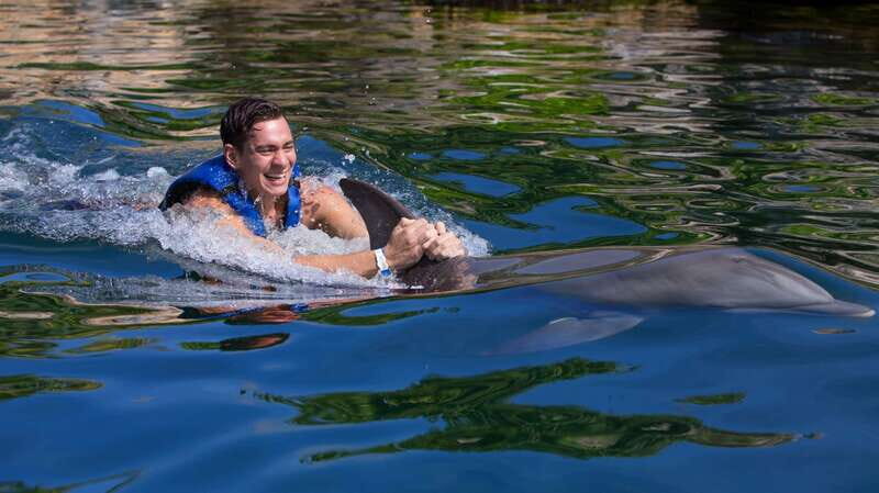 Riviera Maya: Swim with dolphins Interax - Authentic Insights from Reviews