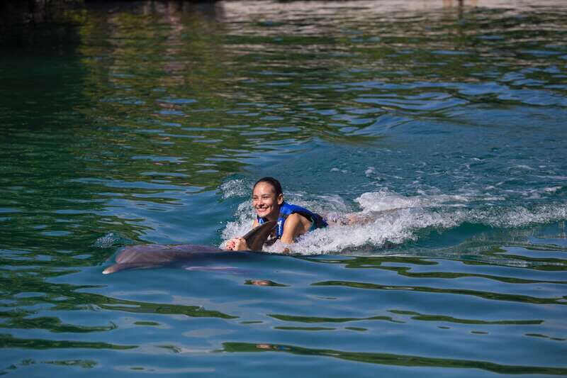 Riviera Maya: Swim with dolphins Interax - Why Choose This Dolphin Swim?