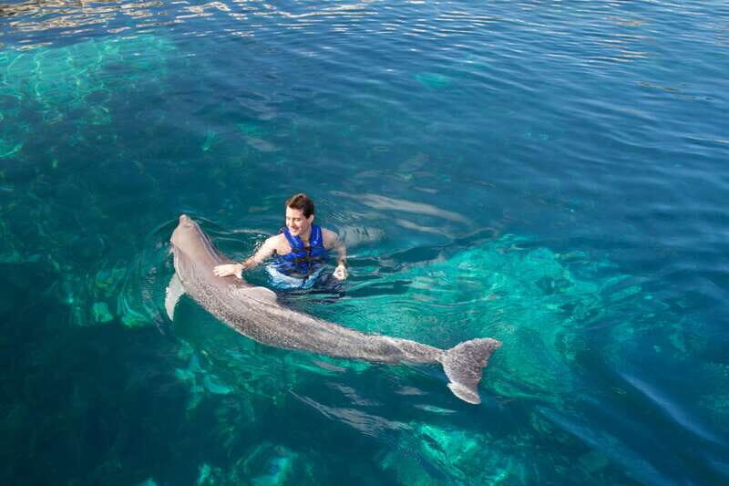 Riviera Maya: Swim with dolphins Interax - Who Will Love This Tour?